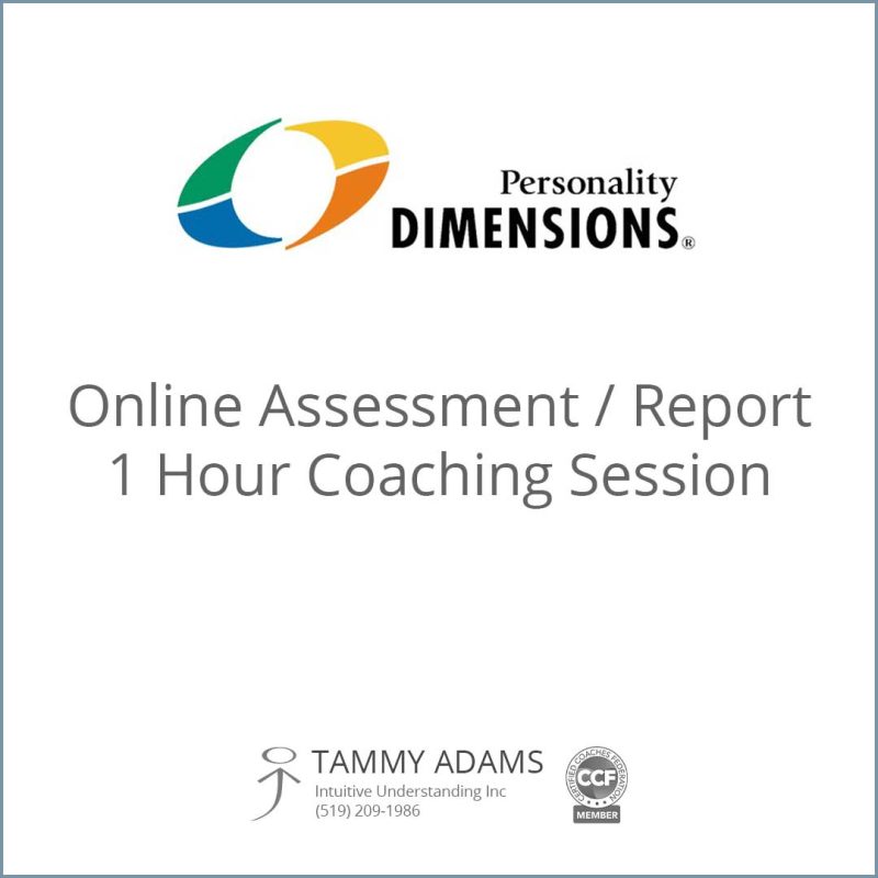 Personality Dimensions Assessment | Intuitive Understanding